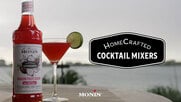 MONIN Dragon Fruit Syrup Video | WebstaurantStore