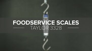 Taylor 3328 Industrial Hanging Spring Scale Video | WebstaurantStore