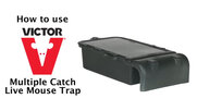 Victor® Multiple Catch Mouse Trap Instructional Video Video ...