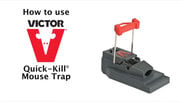 How to Set a Victor Quick-Kill Mouse Trap